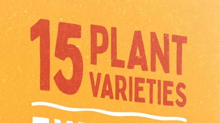 Plant-packed products for all | Clive’s